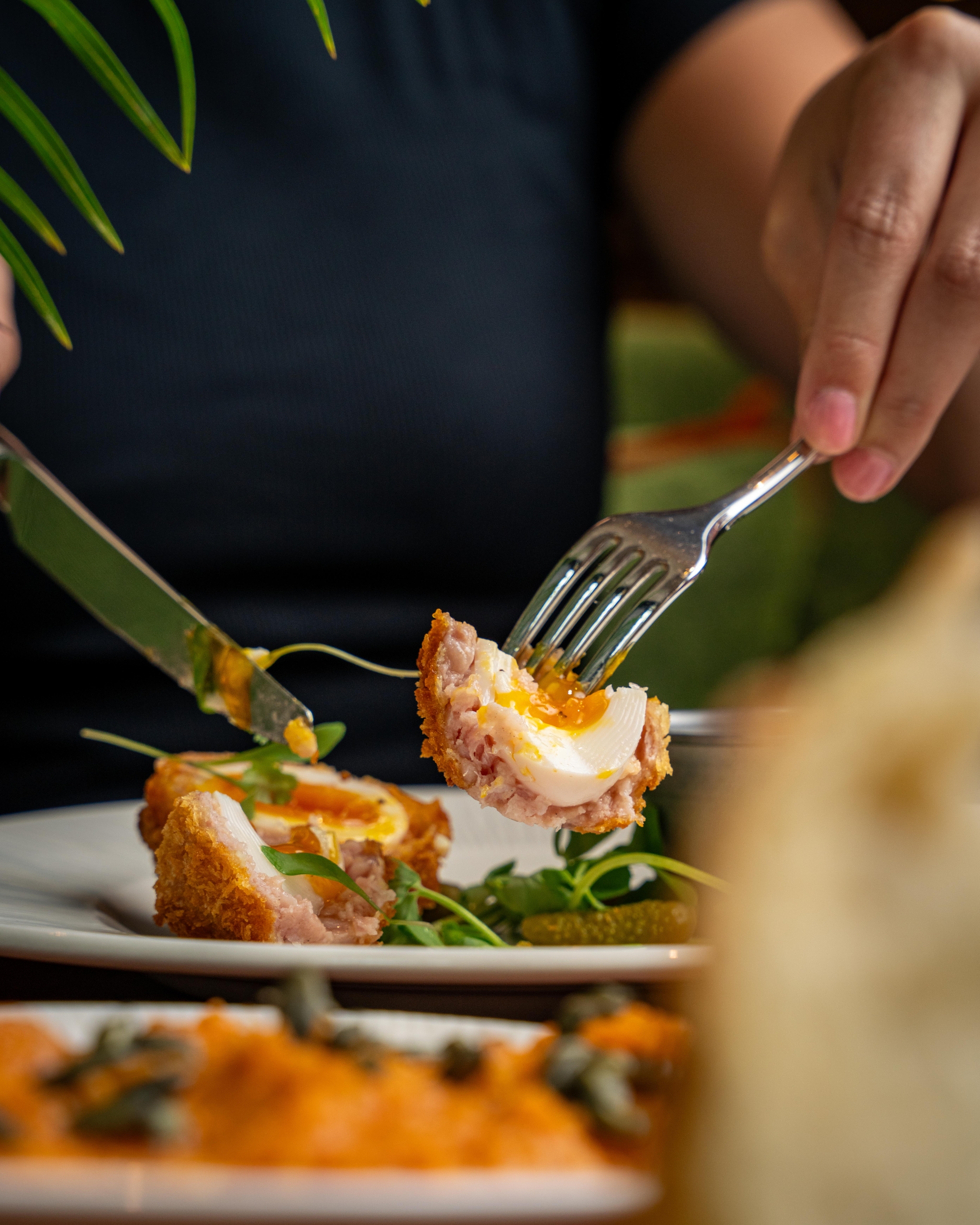 Gallery - The Cardinal